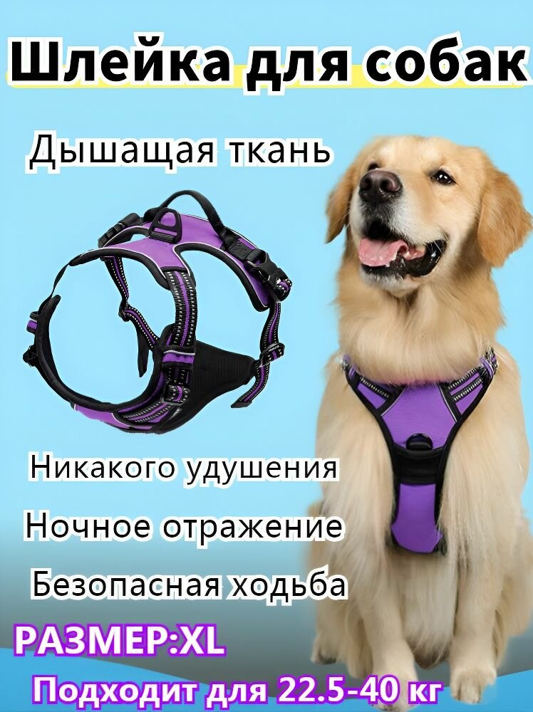 Нагрудная шлейка для средних и крупных собак, Нагрудная шлейка для собак, ночная светоотражающая