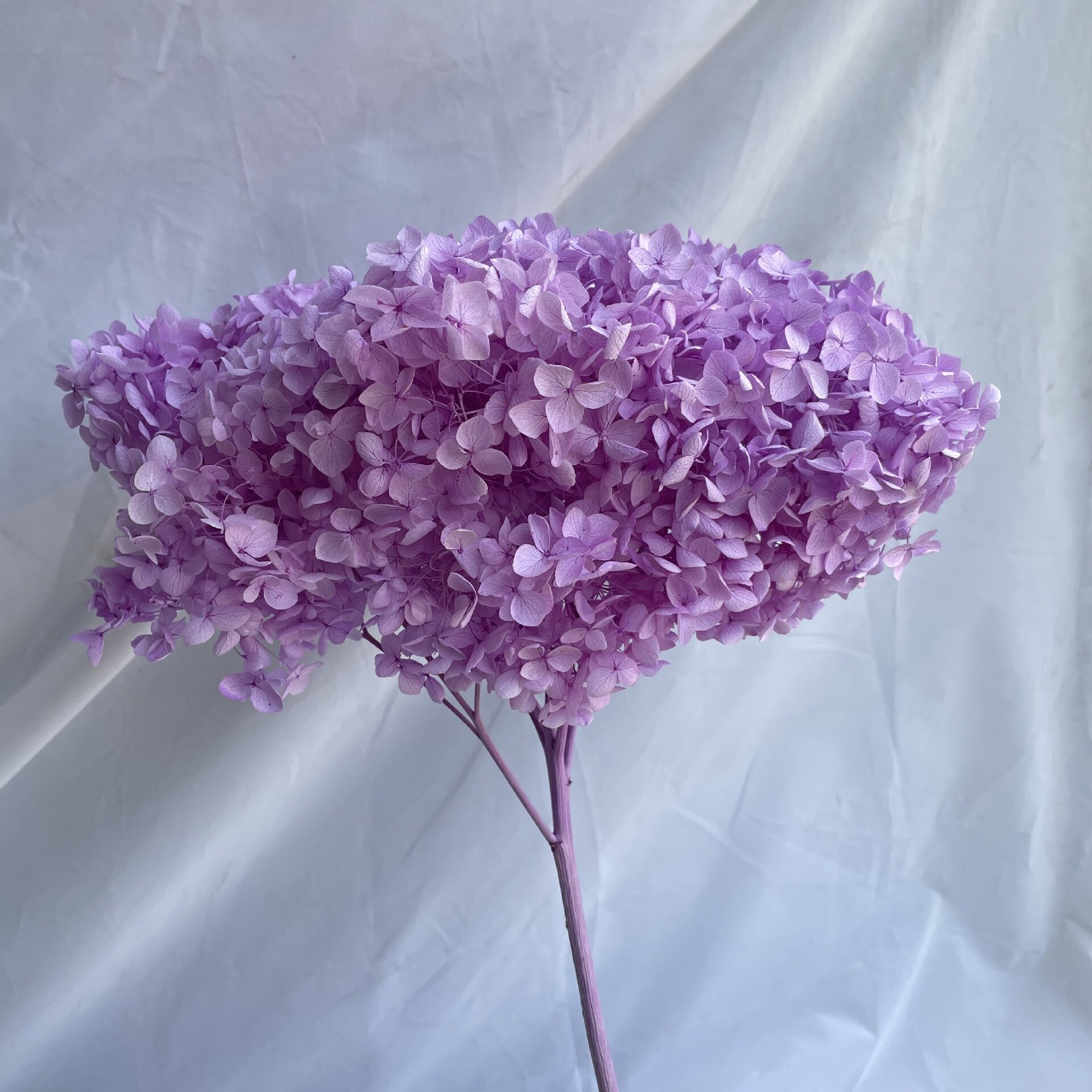 Аранжировщик цветов, одиночная ветка, подарок Анны, гортензия, сушеный цветок, вечная гортензия, домашний декор, цветочная композиция, многоцветная