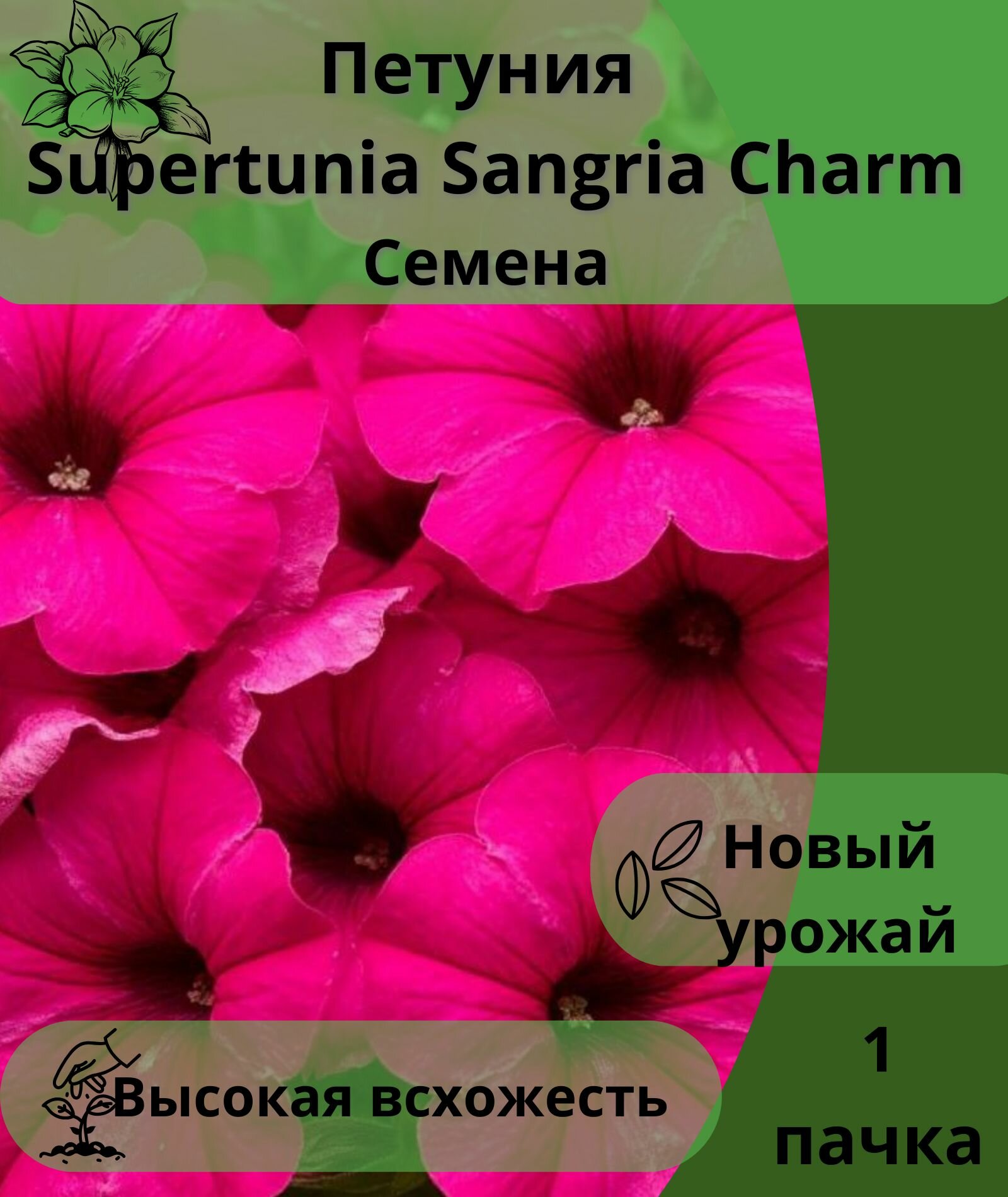 Петуния Supertunia Sangria Charm, семена 1пачка
