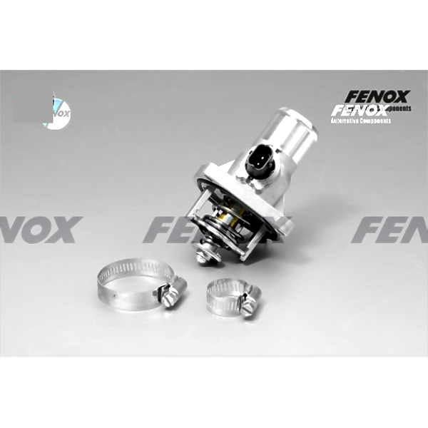 FENOX TS100 (TS100) термостат