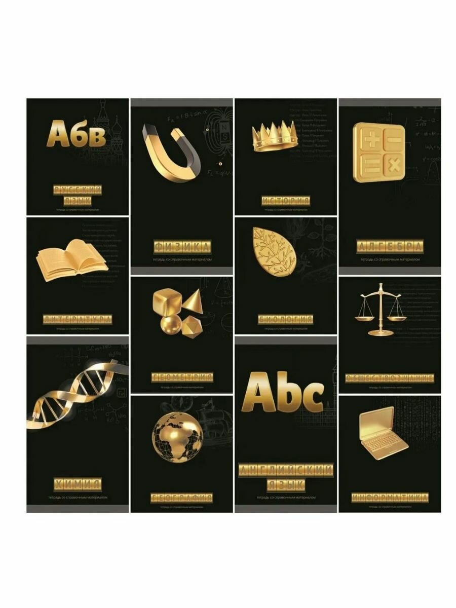 Тетради предметные "Золотой Элемент" А5 48л. 12 шт.