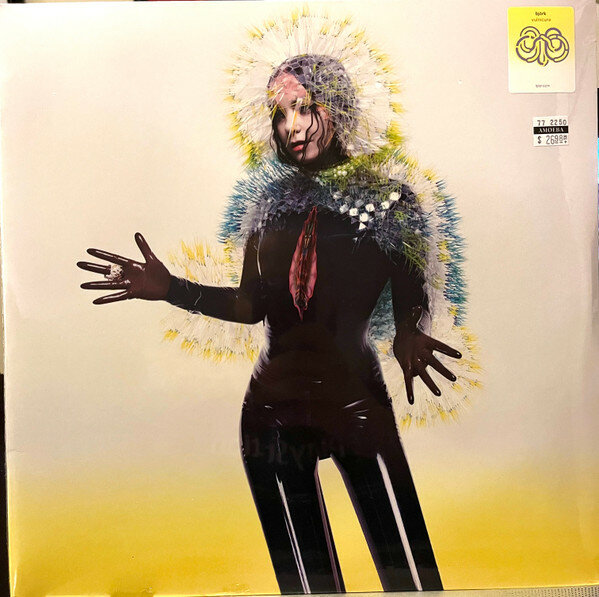 BJORK Vulnicura