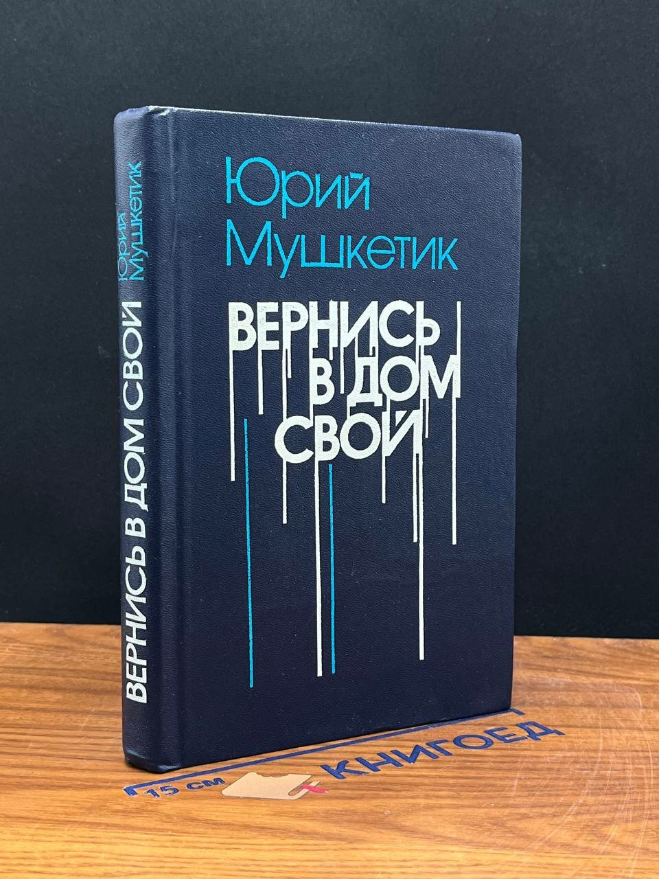 Книга. Вернись в дом свой 1984 (2042157718962)