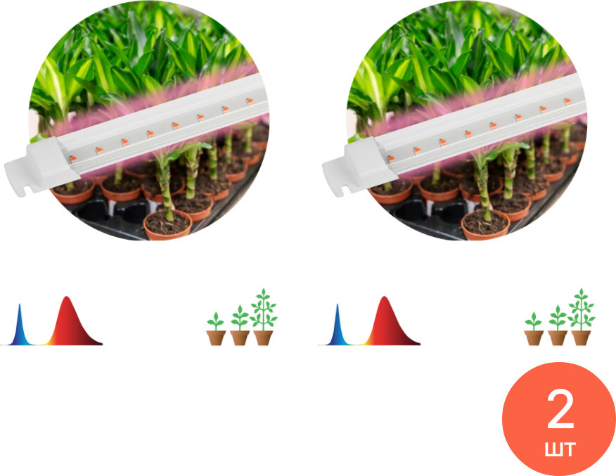 Светодиодная лампа для растений ЭРА FITO-10W-Т5-RB-Slim линейная 10Вт, красно-синий спектр, Б0057401 / фитосветильник для рассады (комплект из 2 шт)
