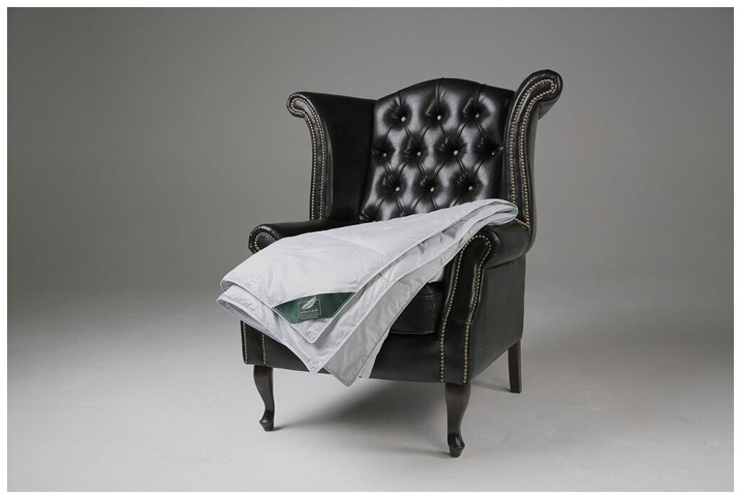 Одеяло ANNA FLAUM FRUHLING, кассетное, пуховое, всесезонное, 200x220см