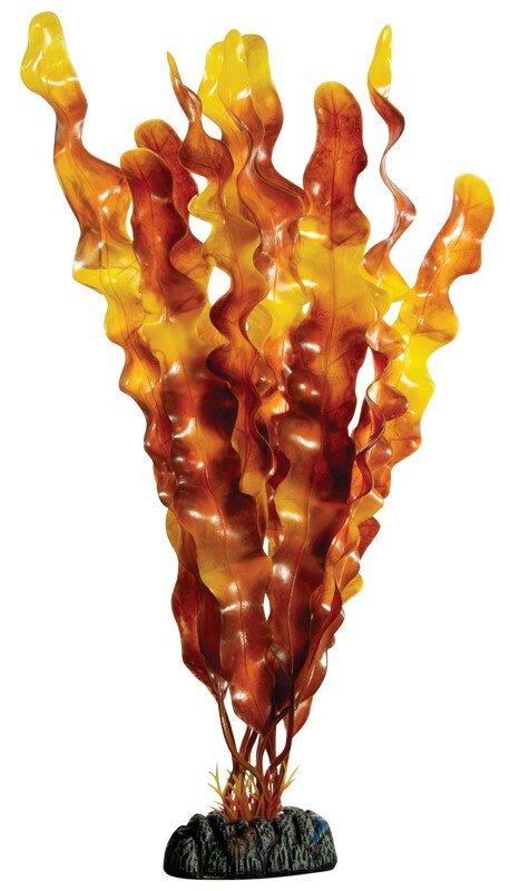 Laguna растение "Ламинария" 40 см, Коричневый