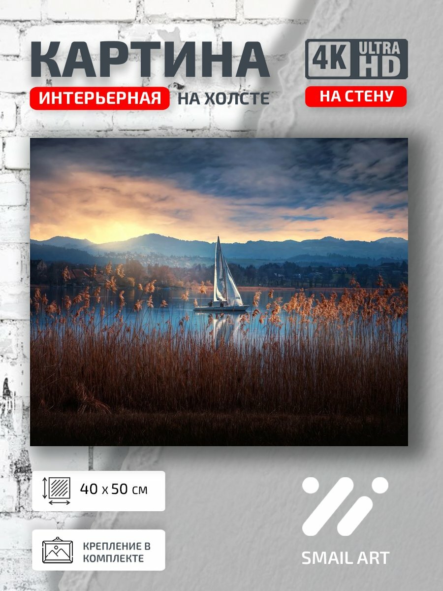 Картина на холсте интерьерная 40 на 50 на стену Камыш Landscape для кафе пейзаж интерьер