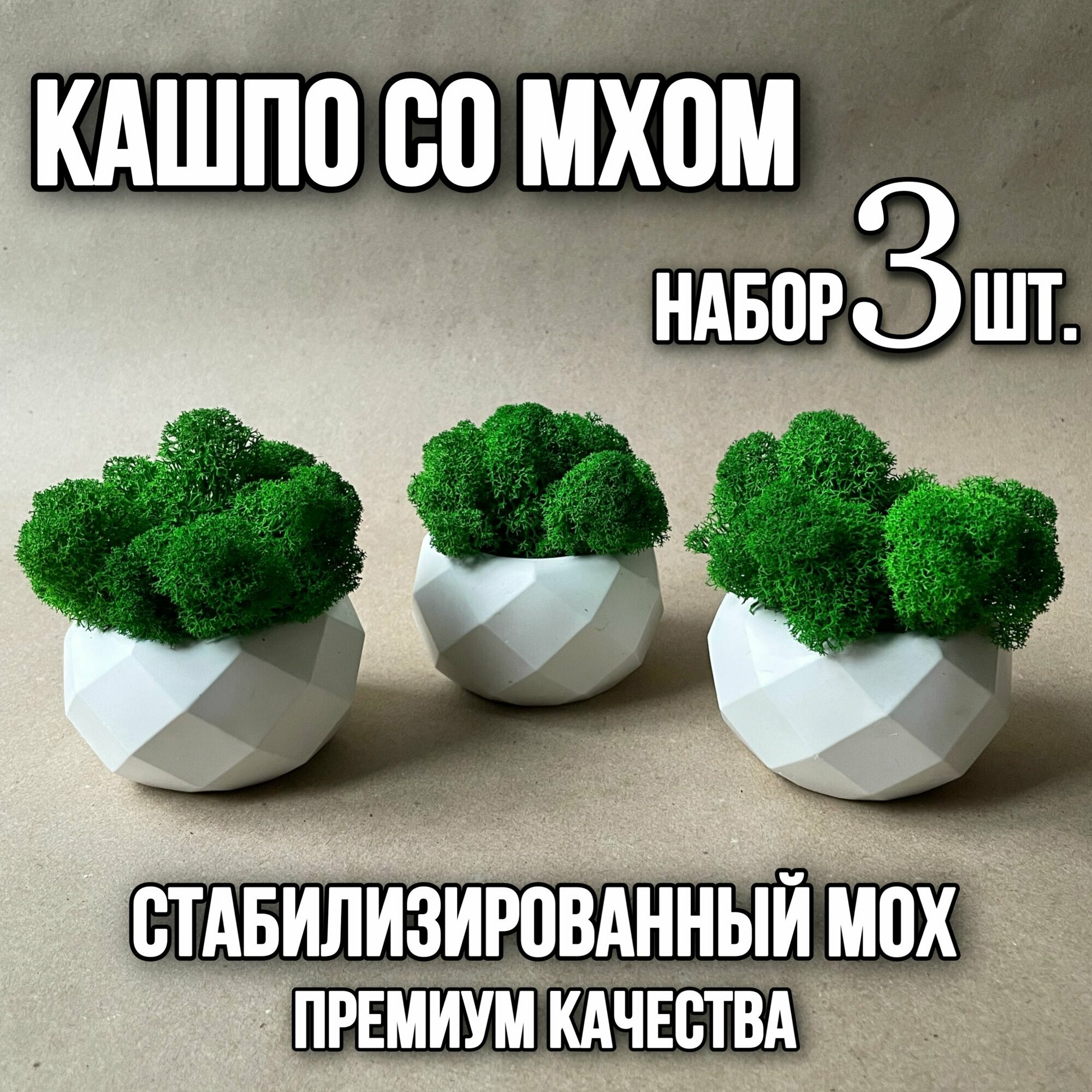 Декоративное кашпо со мхом в гипсовом подсвечнике 3 шт/Стабилизированный мох