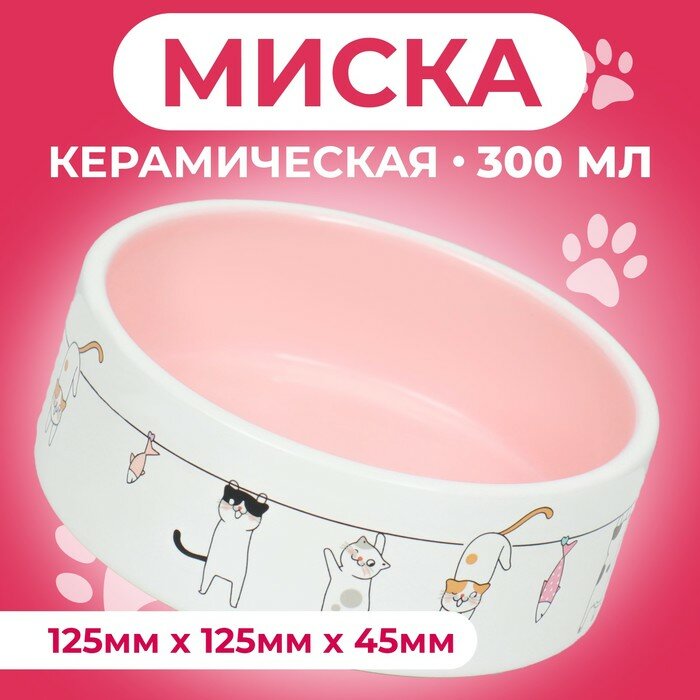 Миска керамическая "Весёлые котики" 300 мл 12,5 x 4,5 cм, бежево-белая, 9214853