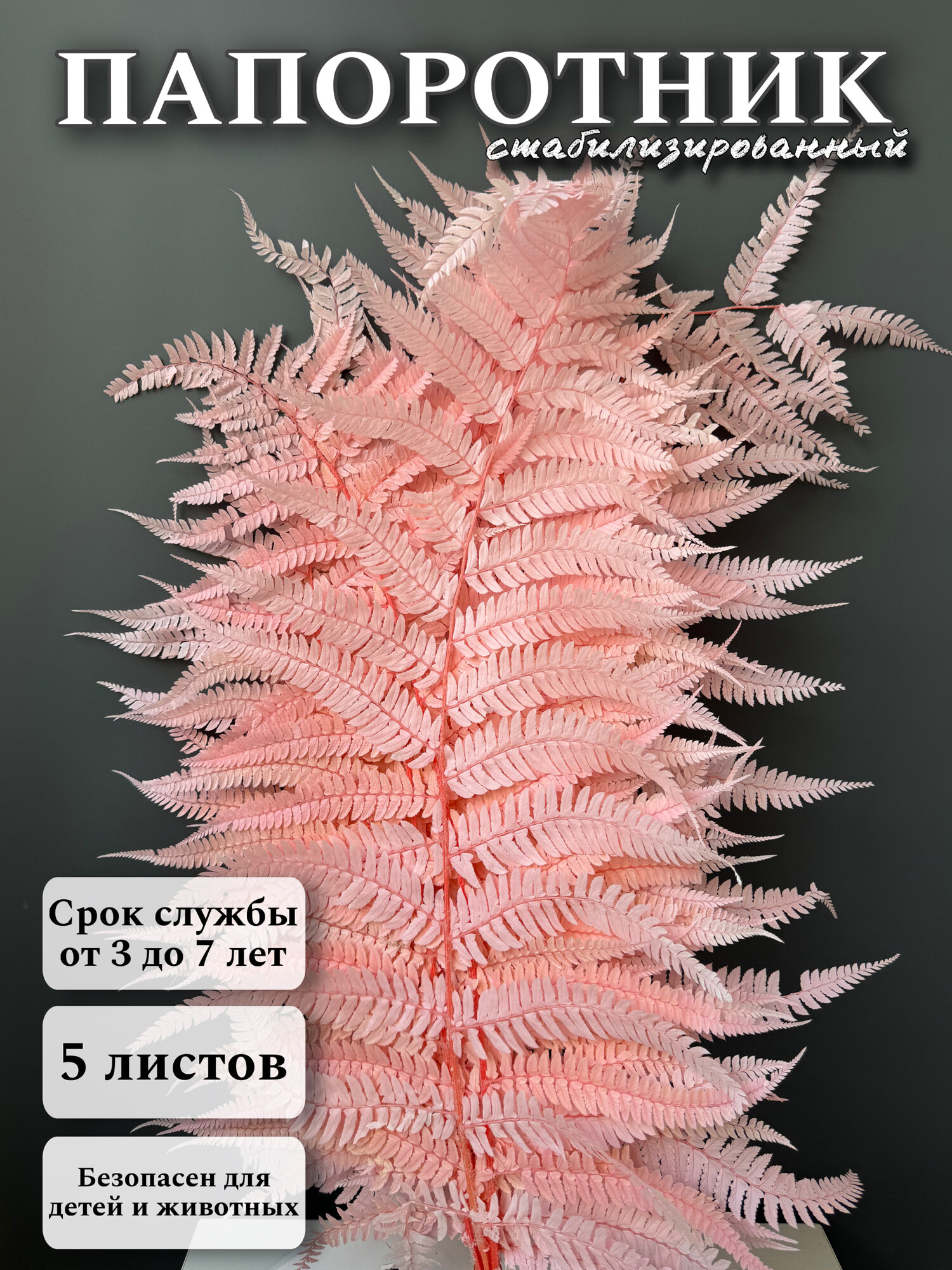 Лист папоротника стабилизированный для декора