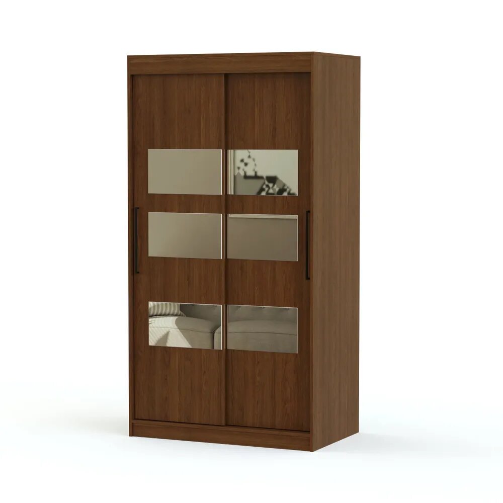 Шкаф-купе Торонто 16