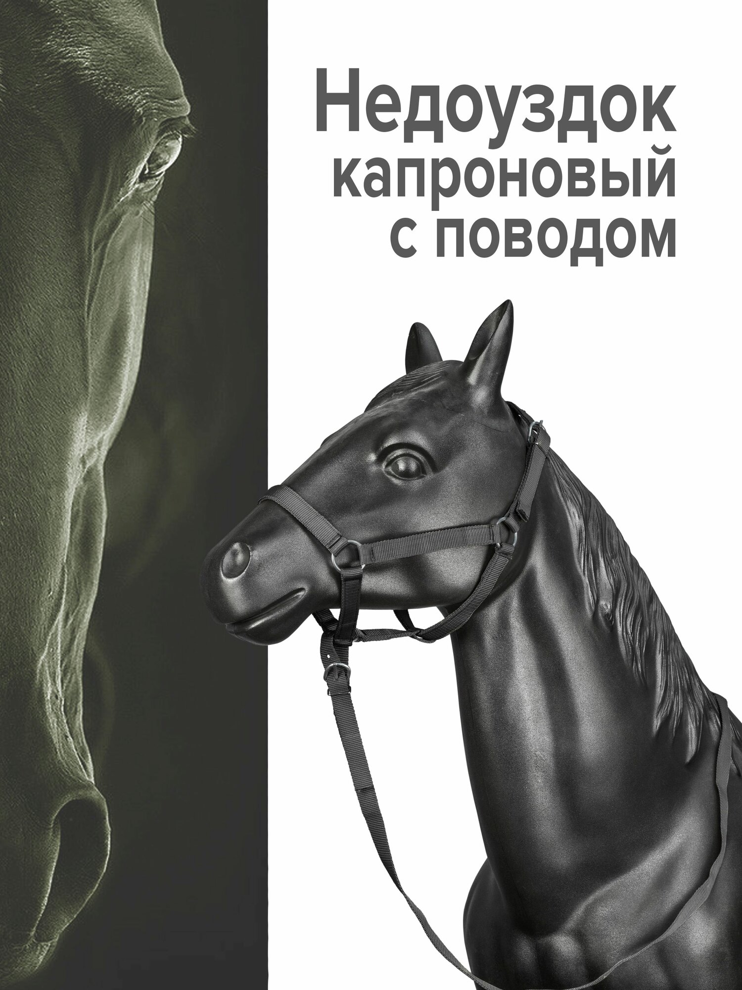 Недоуздок для лошадей Reiter Cob, капрон, двойной, с поводом, 25мм, чёрный