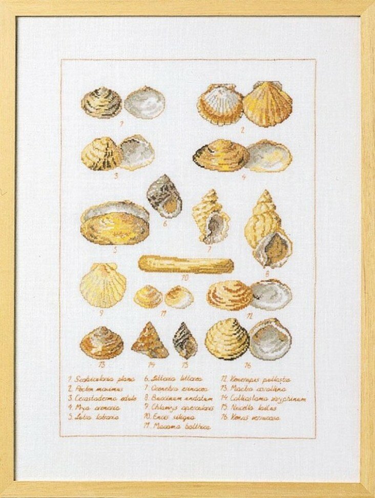 Набор для вышивания Permin #70-6400 Sea shells (Морские ракушки), Счетный крест, 41 x 56 см