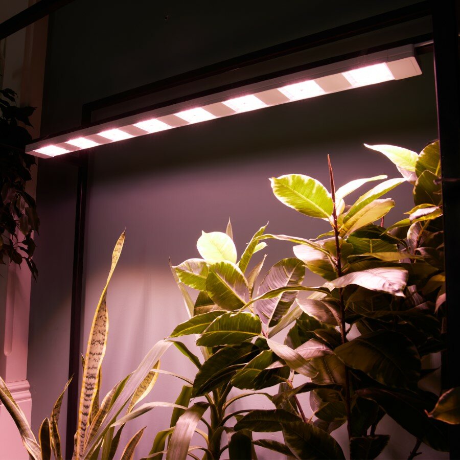 Светильник светодиодный накладной Uniel фито для растений 100W 170мкмоль/с 1050x74x23 мм IP40 ULT-P70B-100W/SPLE/L105