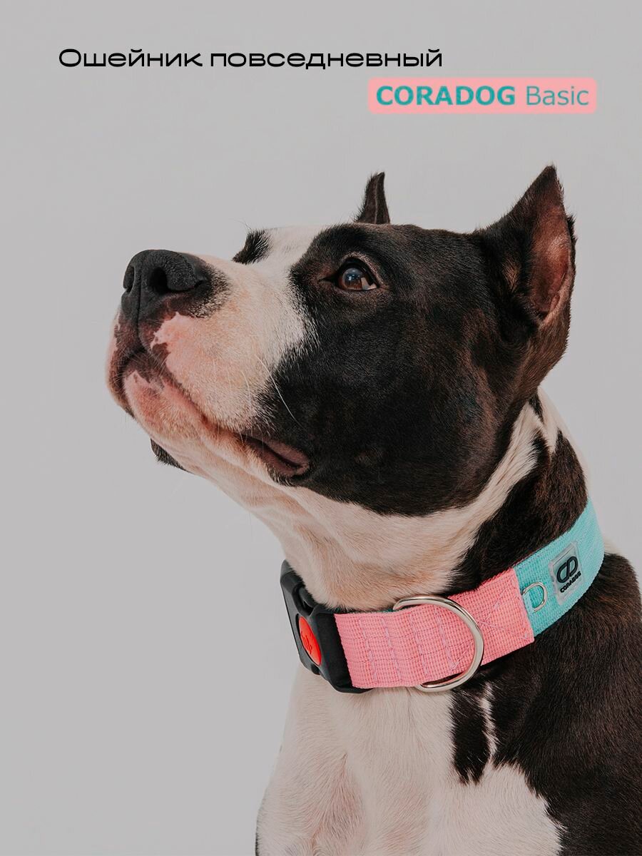 Ошейник широкий повседневный, CORADOG Basic, для средних и крупных собак, мятный розовый, размер M-4 38-54 см