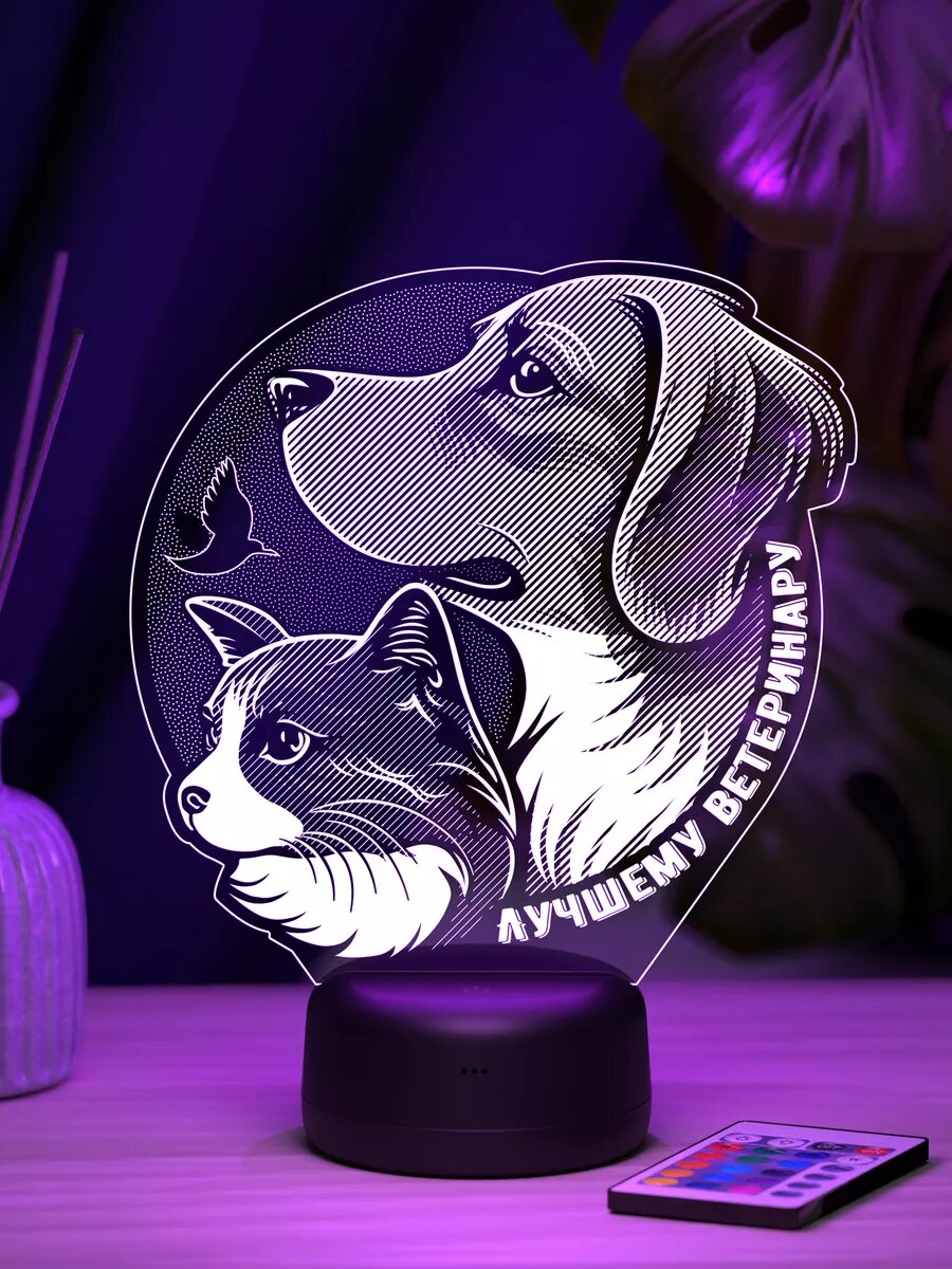 Ночник подарок Лучшему Ветеринару