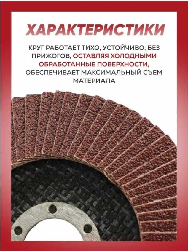 Круг лепестковый торцевой (150 x 22мм; P60) круг шлифовальный, 10 шт