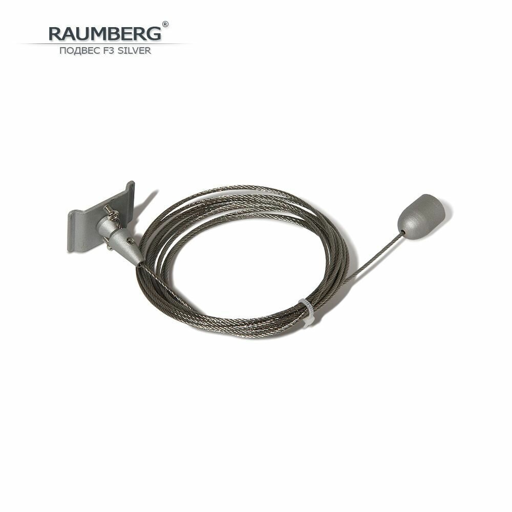 Подвес для трека RAUMBERG F3 sv серебристый