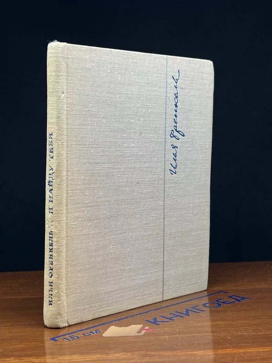 Книга. Я найду тебя 1966 (2039690477531)