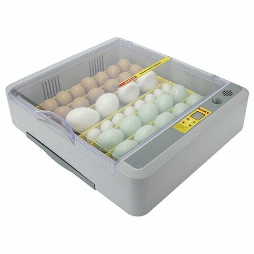 Автоматические инкубаторы для яиц Sititek Автоматический инкубатор "SITITEK 36" с универсальными лотками