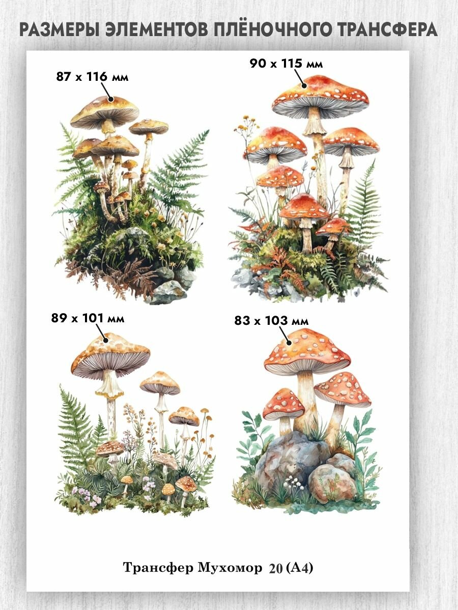 Трансфер для декупажа переводной рисунок для поверхностей мухомор 020 (А4)