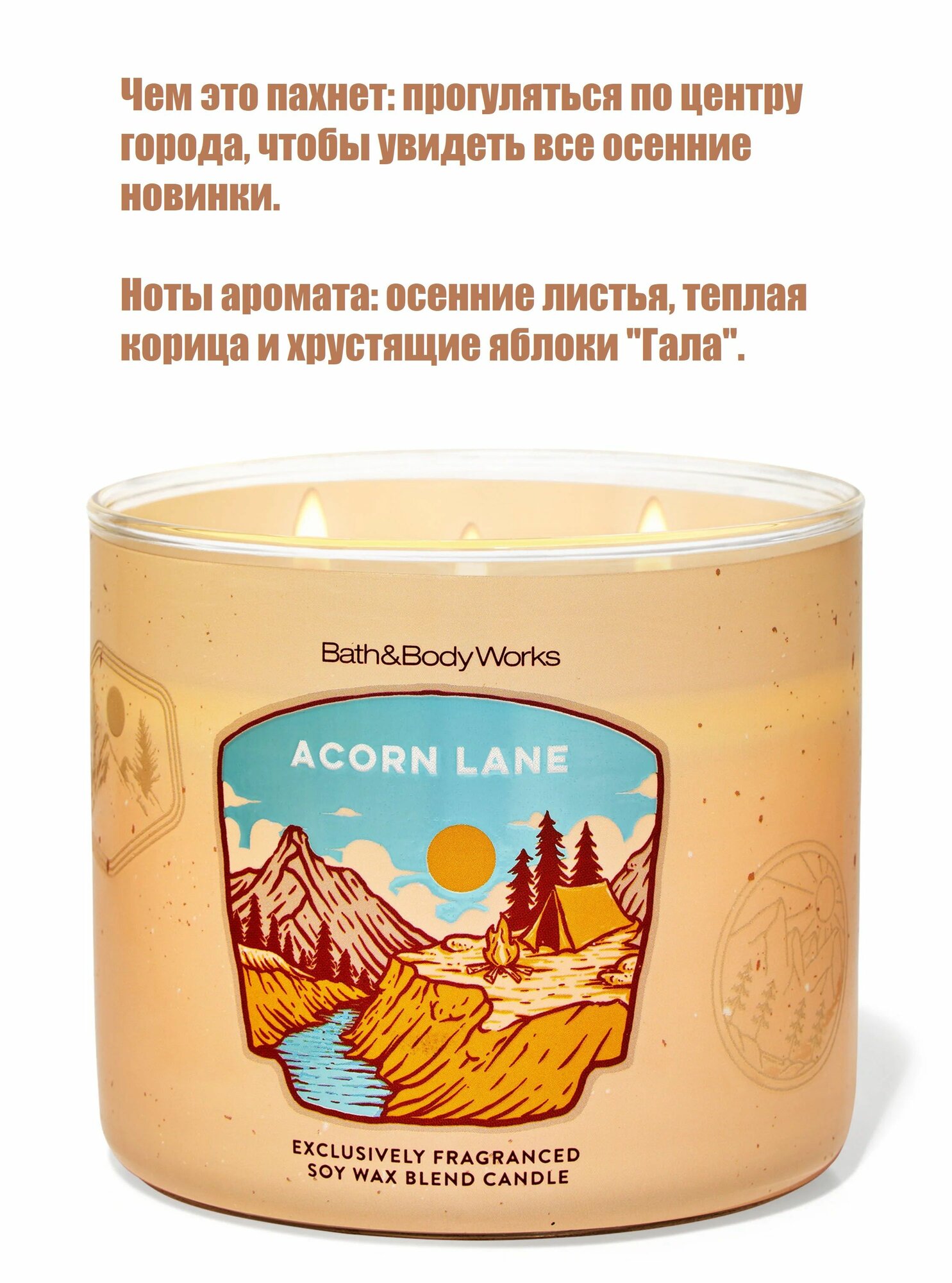 Bath and Body Works свеча ароматическая с 3-мя фитилями Acorn Lane (411 грамм)