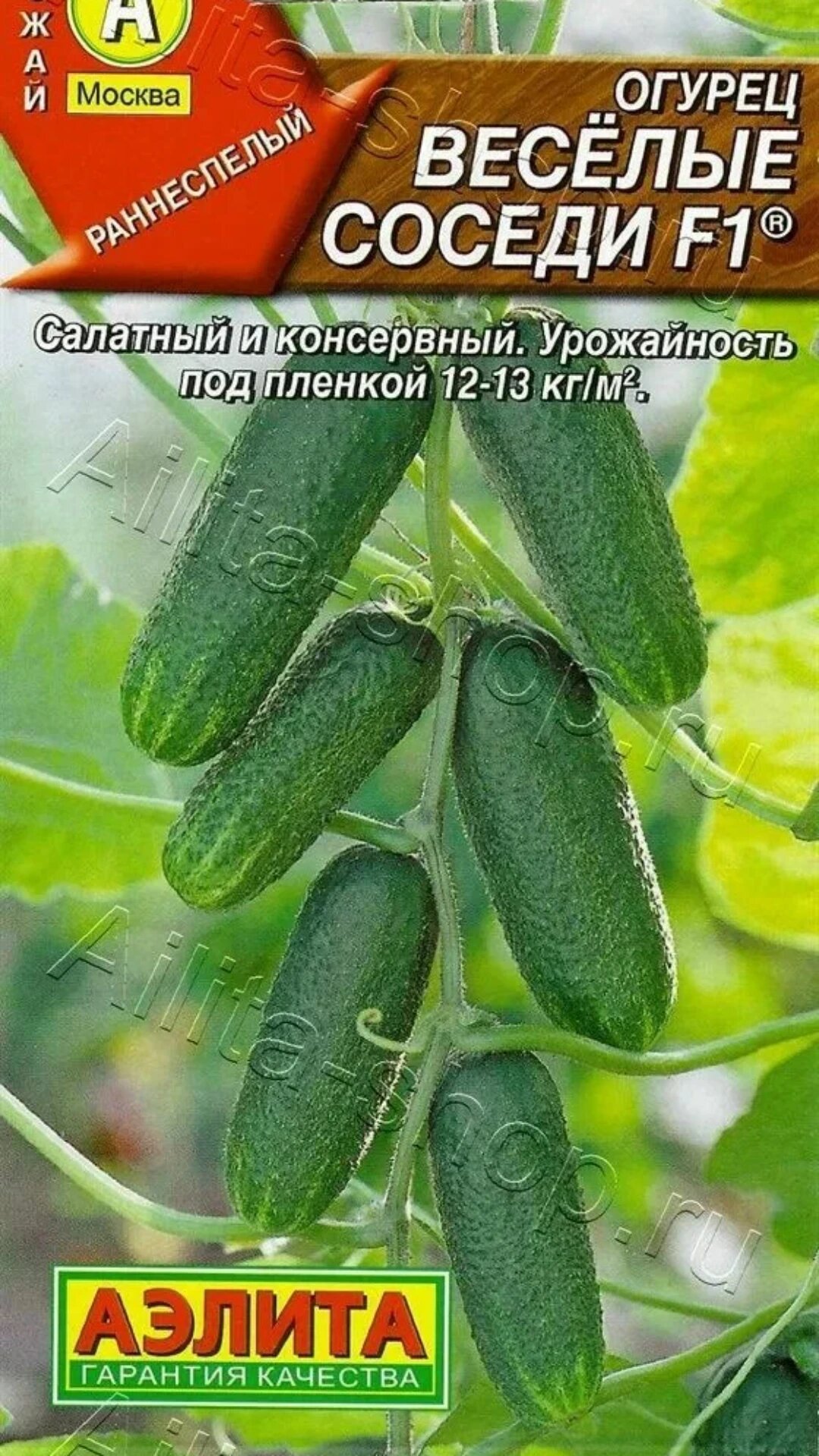 Огурец "Веселые соседи F1" ( 3 упаковки ), семена аэлита, раннеспелый