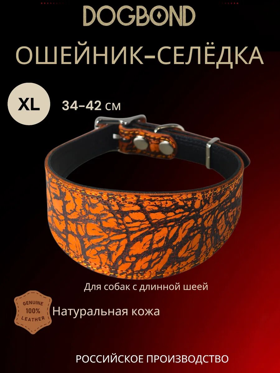 Ошейник-селедка Dogbond для грейхаундов и борзых собак