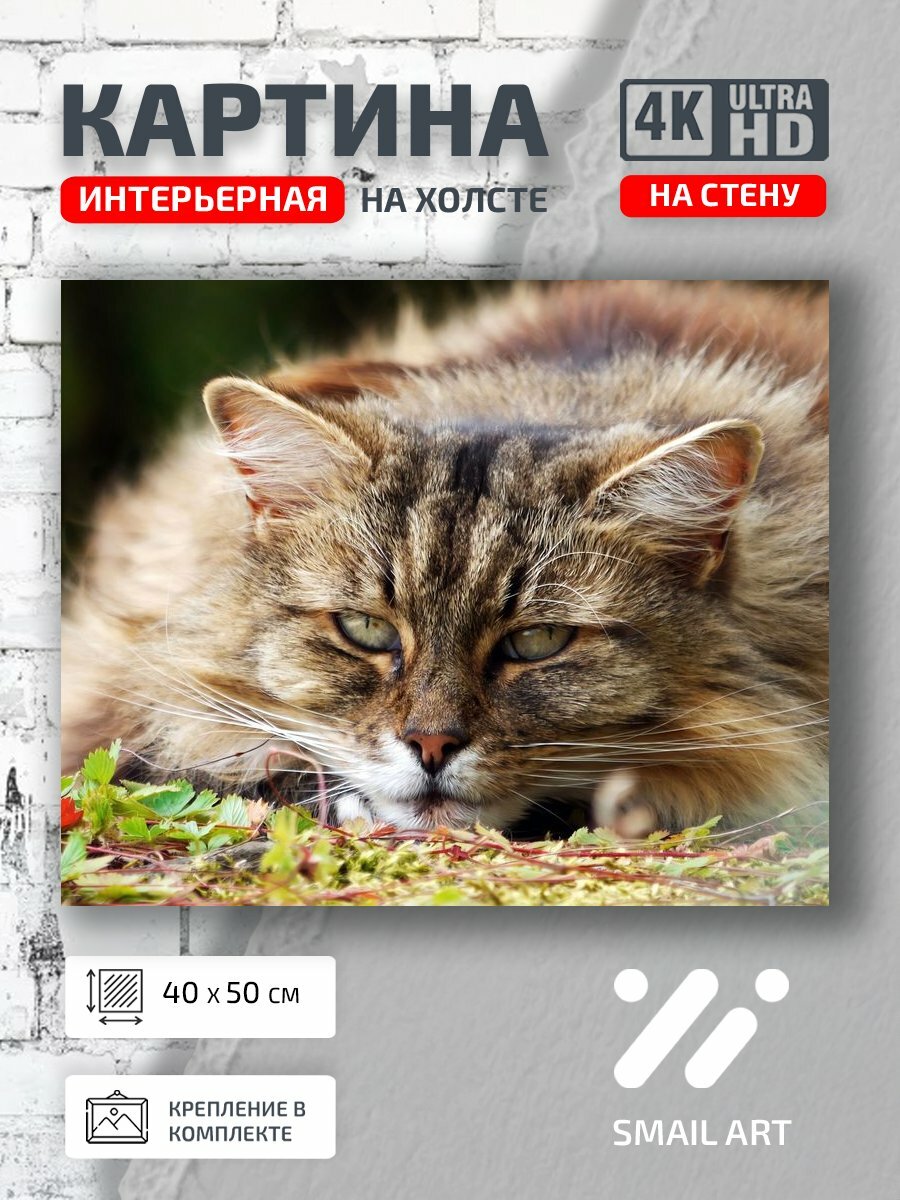 Картина на холсте интерьерная 40 на 50 на стену Трава Animal для кабинета animal style