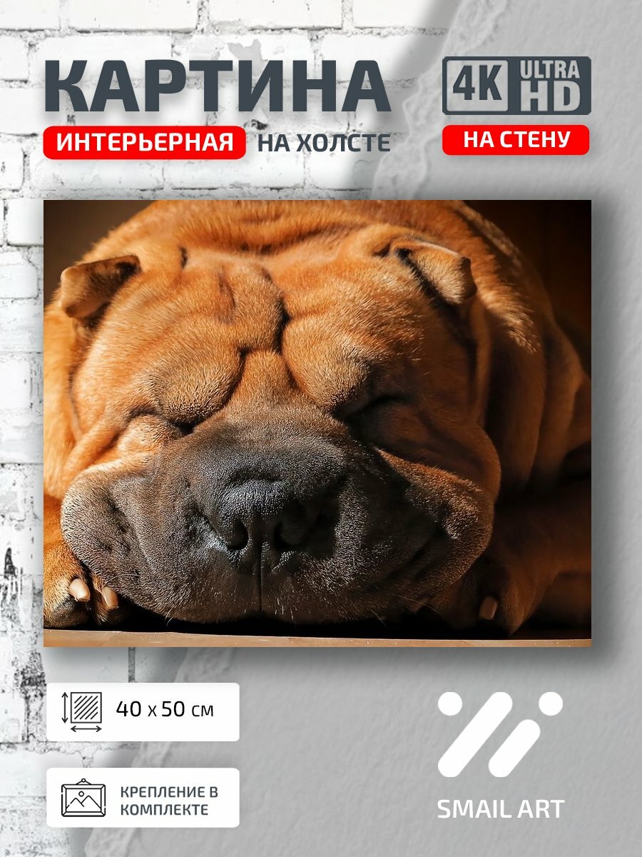 Картина на холсте интерьерная 40 на 50 на стену Дог Animal для спальни animal style декор