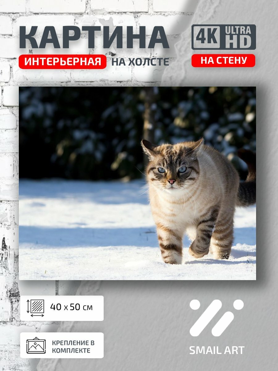 Картина на холсте интерьерная 40 на 50 на стену Снег Landscape для спальни пейзаж интерьер