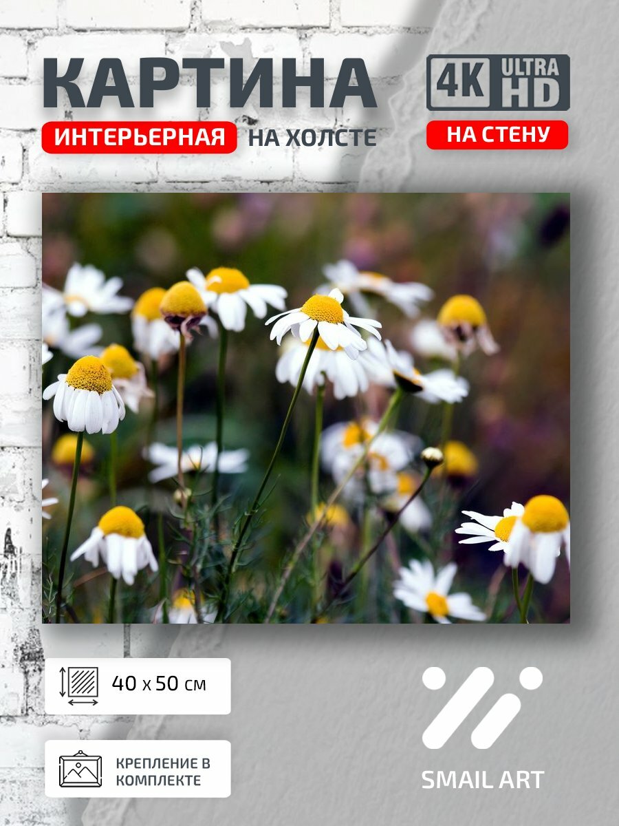 Картина на холсте интерьерная 40 на 50 на стену Ромашки Mood для спальни атмосфера интерьер