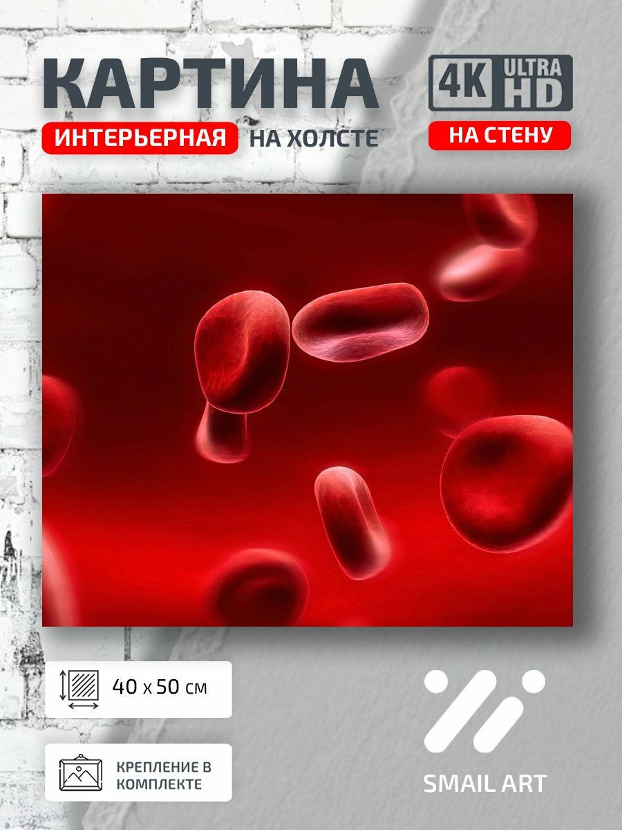 Картина на холсте интерьерная 40 на 50 на стену Микроскоп Macro для гостиной макро интерьер