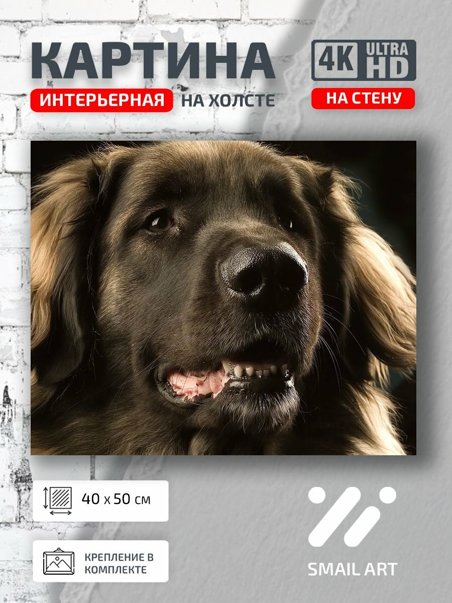 Картина на холсте интерьерная 40 на 50 на стену Морда Animal для кабинета animal style