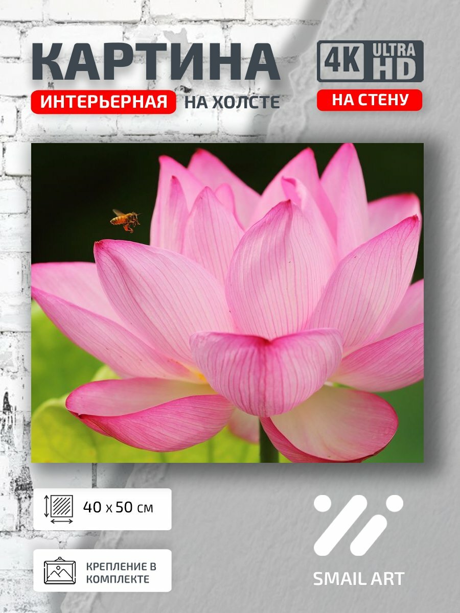 Картина на холсте интерьерная 40 на 50 на стену Пчела Mood для кабинета атмосфера интерьер