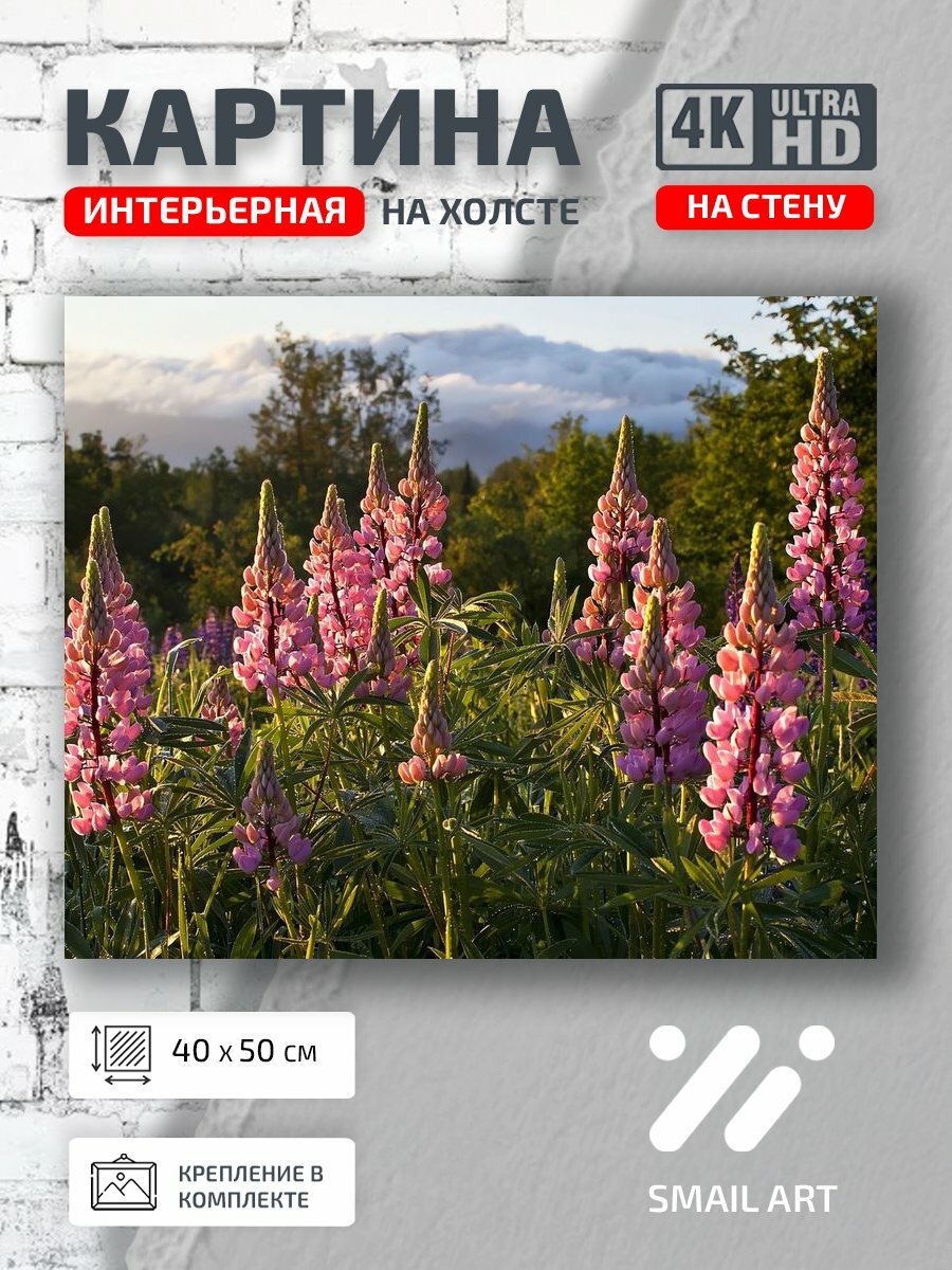 Картина на холсте интерьерная 40 на 50 на стену Поляне Landscape для офиса пейзаж интерьер