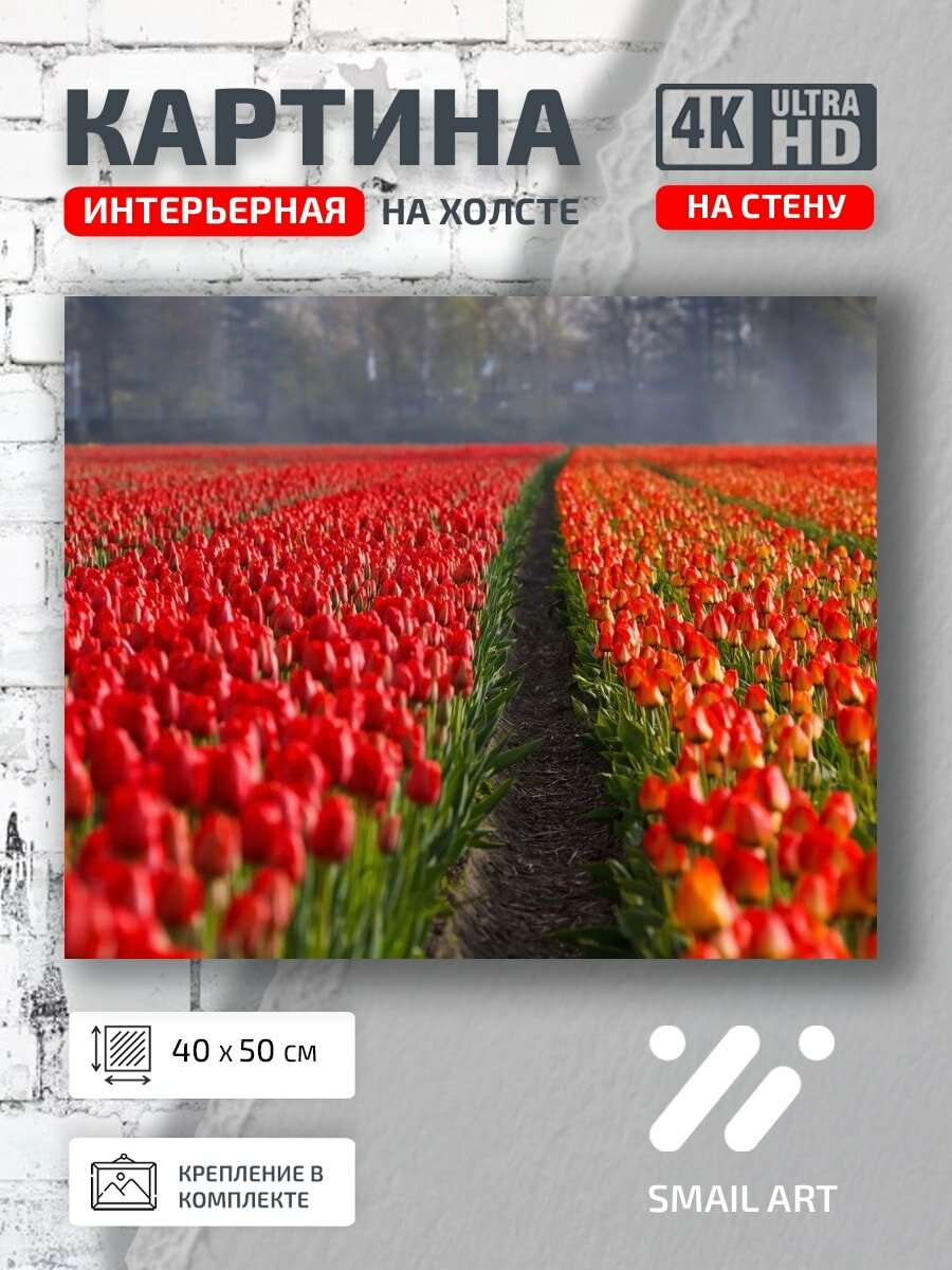 Картина на холсте интерьерная 40 на 50 на стену Природа Тюльпаны для спальни пейзаж