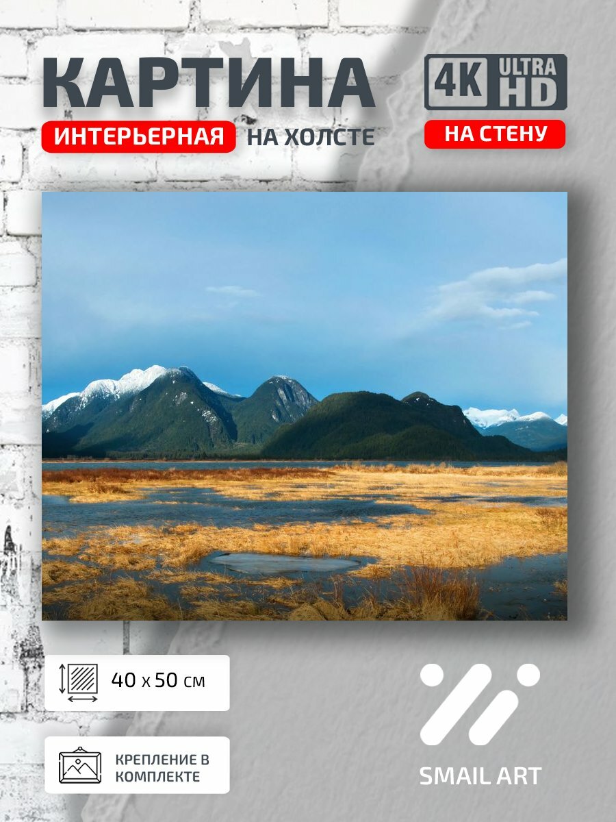 Картина на холсте интерьерная 40 на 50 на стену Трава Landscape для спальни пейзаж интерьер