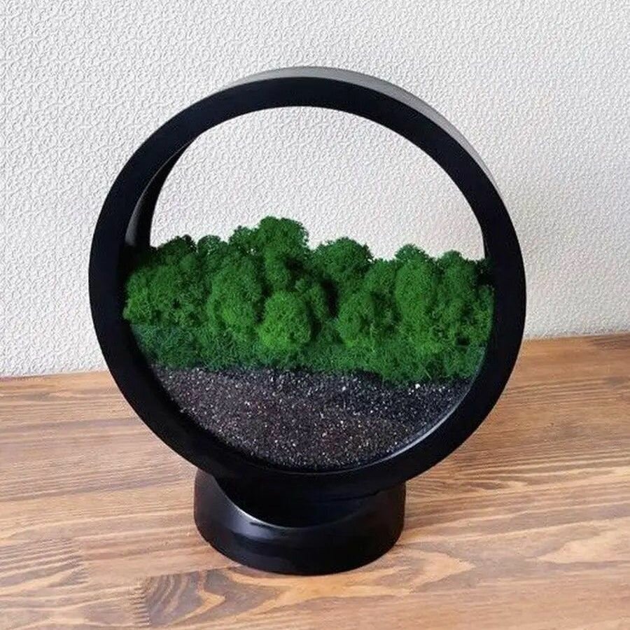 Настольное круглое декоративное кашпо на подставке черное 25 см со стабилизированным мхом на стол интерьерное с сухоцветами, Molecula Decor