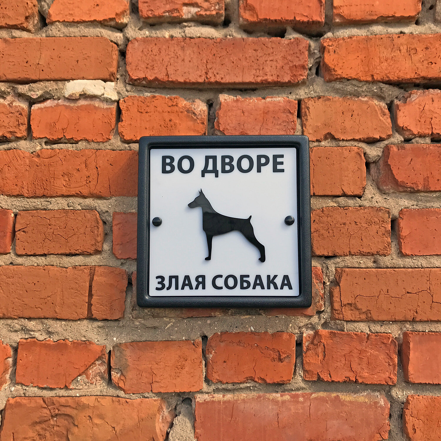 Информационная табличка "Во дворе злая собака" на дом, 220х220мм, черный цвет