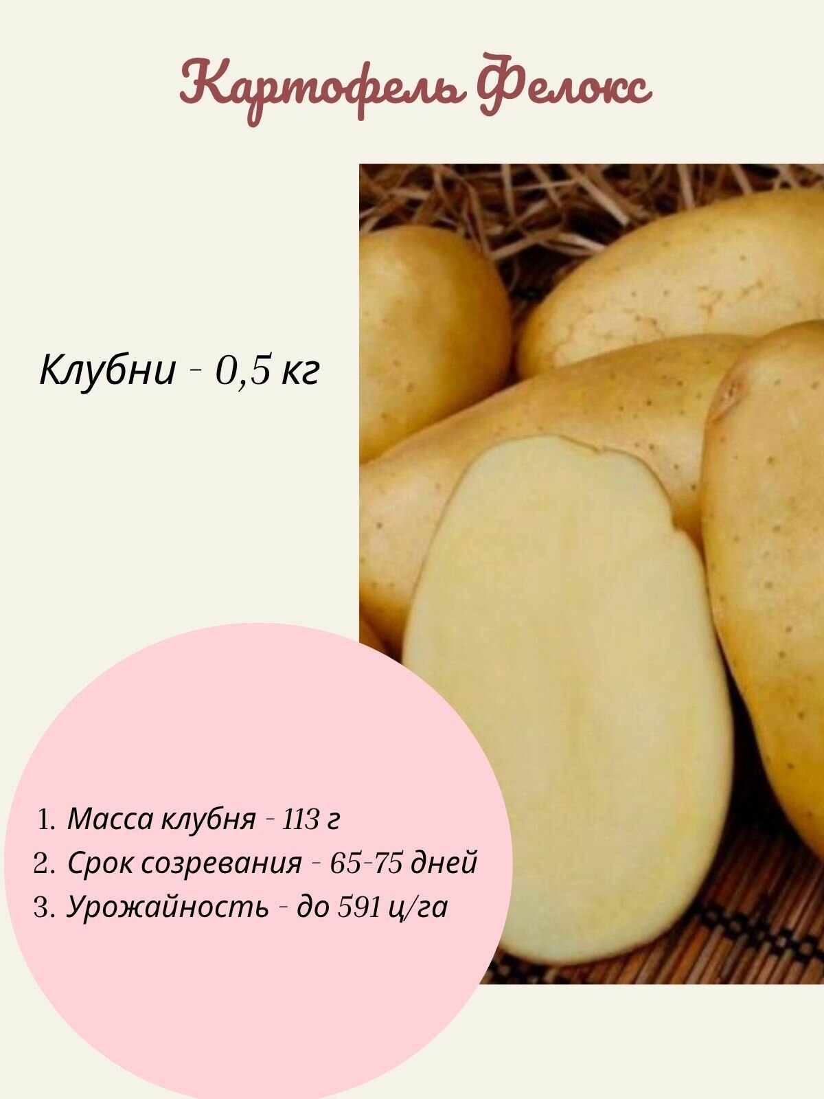 Картофель белый Фелокс 0,5 кг на посадку