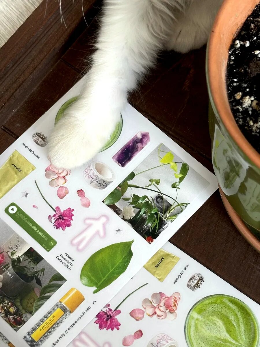 Стикеры виниловые прозрачные 'vibes’, 10,5х15 см