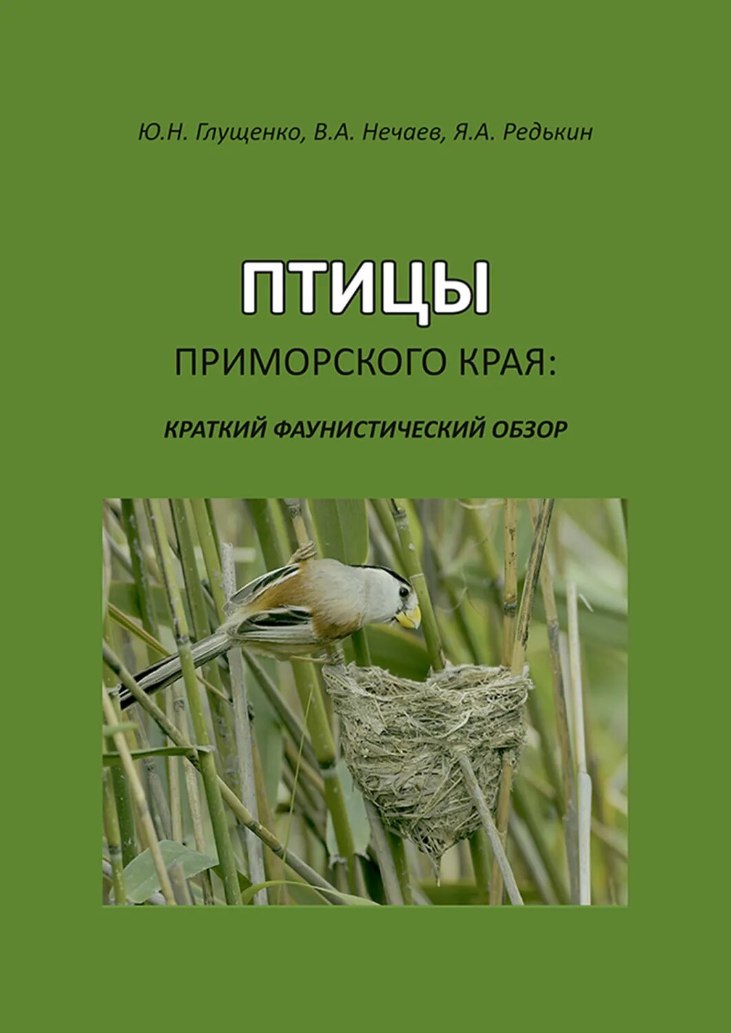 Птицы Приморского края: краткий фаунистический обзор [Цифровая книга]