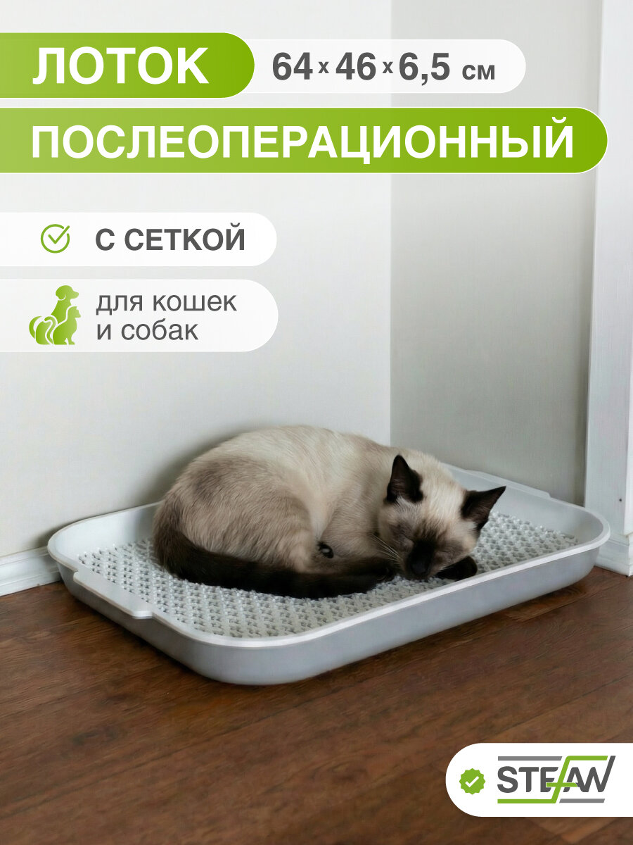 Лоток Штефан, для кошек и собак, послеоперационный, с бортиком, съемная сетка, пластик