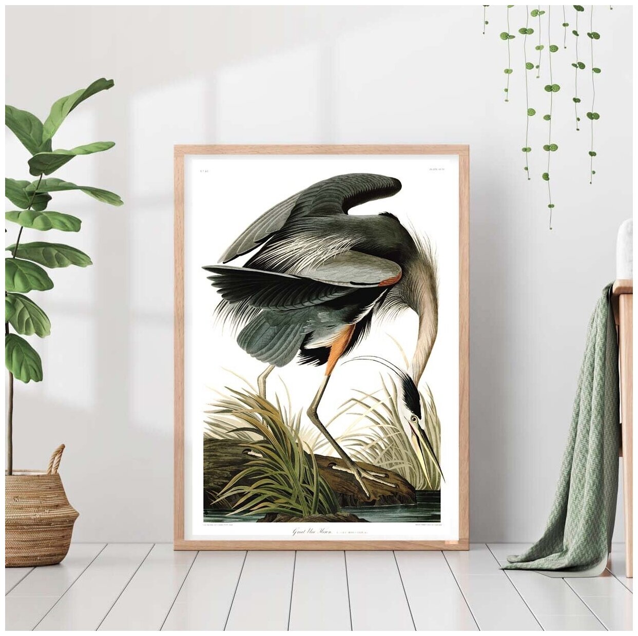 Постер "Птицы Голубая цапля" 40x50 без рамки на стену для интерьера