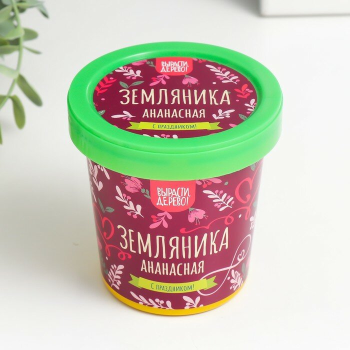 Набор для выращивания растений Вырасти, дерево! "Земляника ананасная" (zk-038)