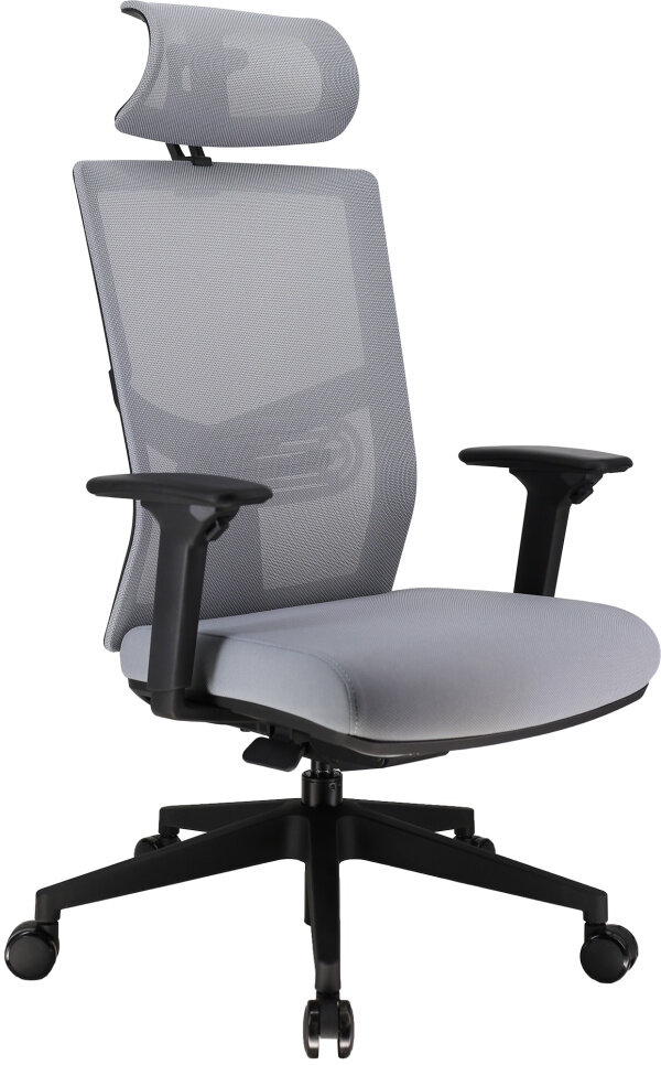 Кресло руководителя Everprof Fuji Сетка Серый
