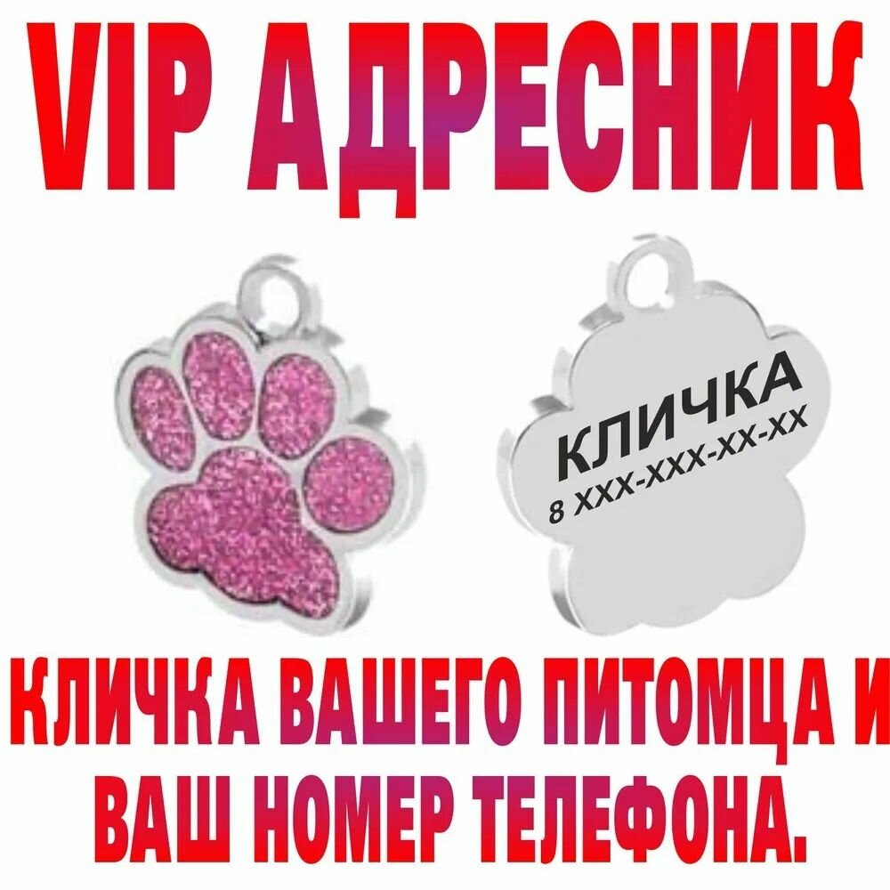 Адресник для собак и кошек . Лапка