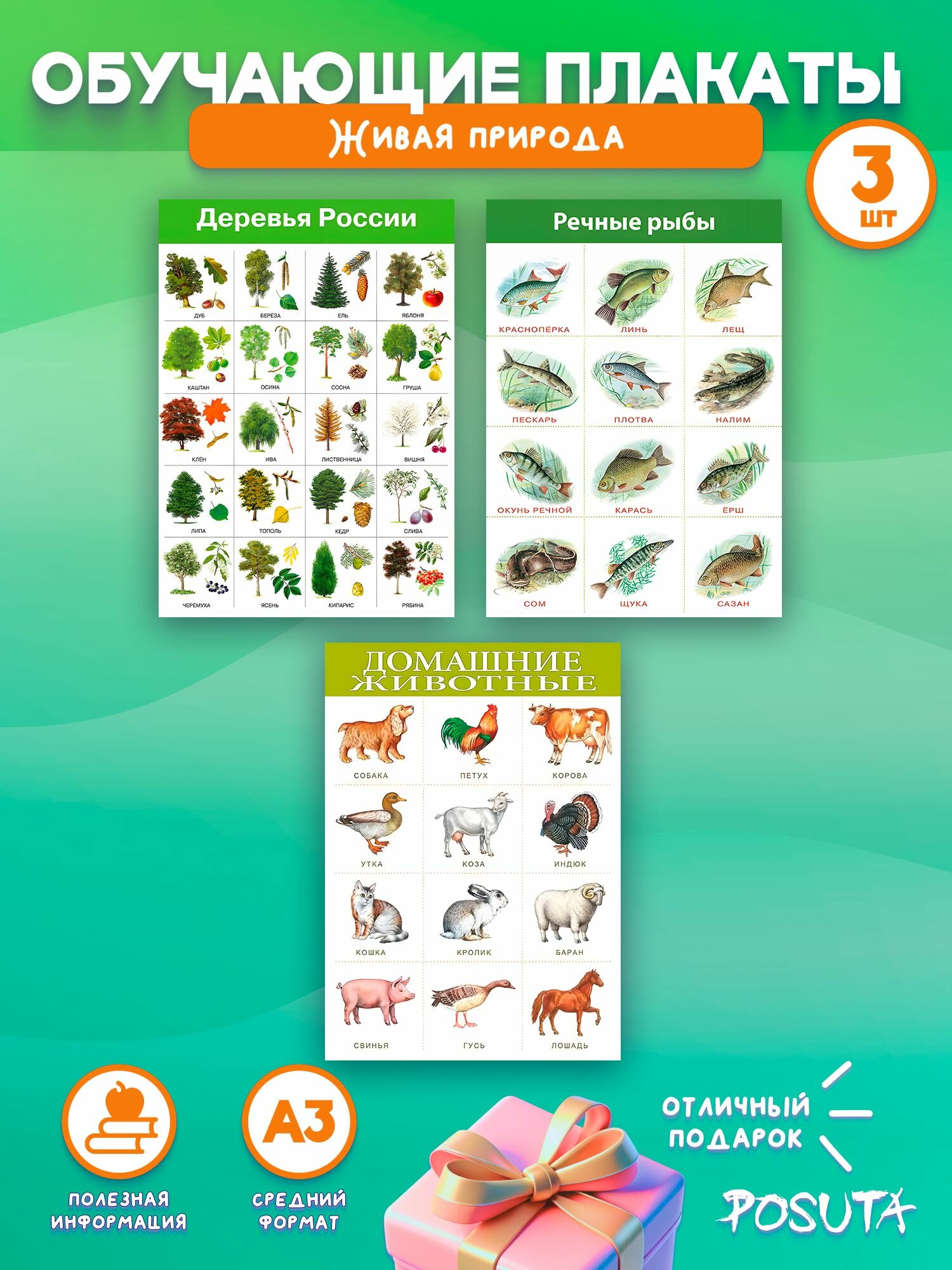 Постеры на стену Живая природа постеры обучающие