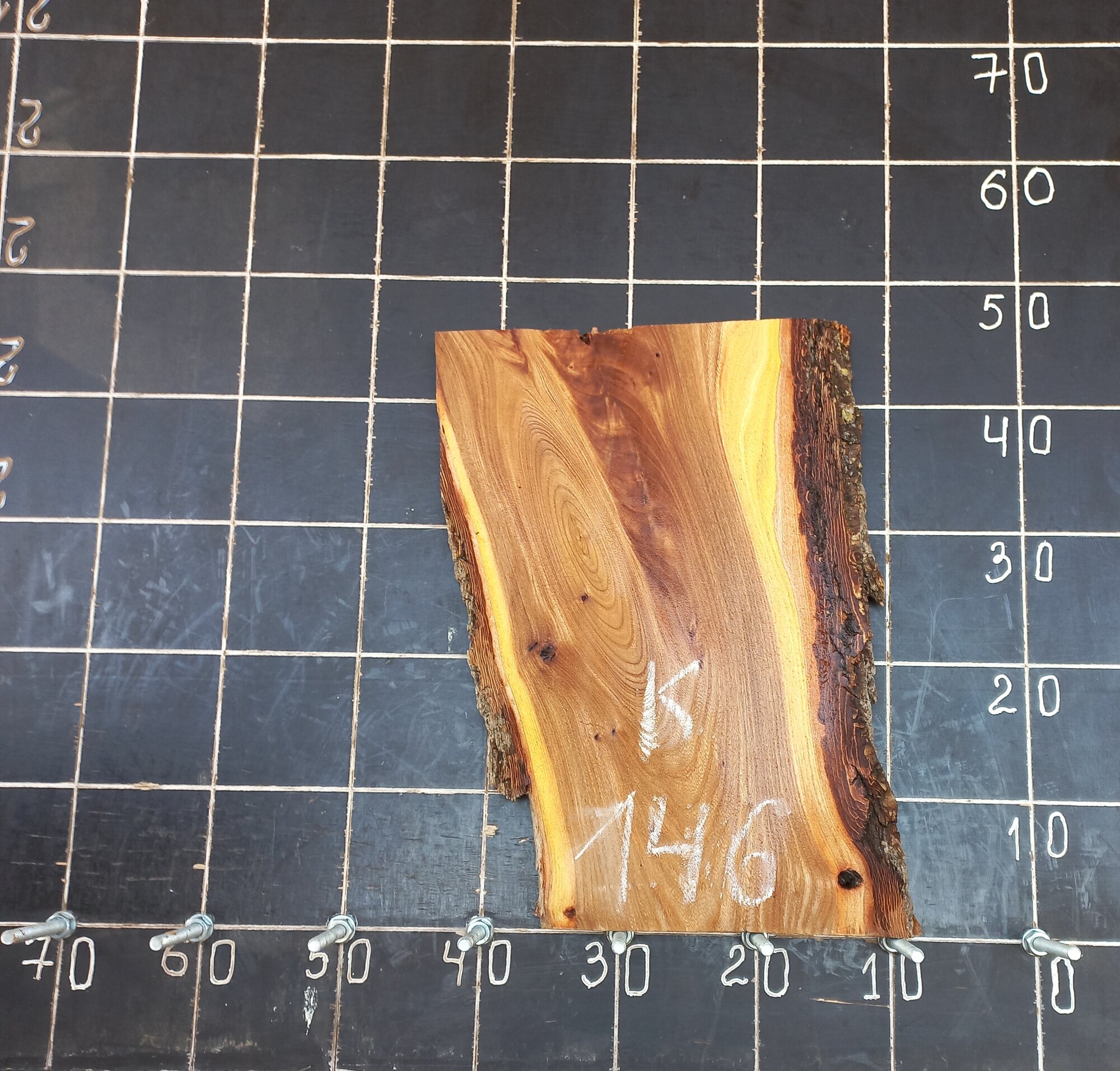 Слэб Доклес Карагач, для столешницы, необрезной, антисептированный, 0-3 сорт, 2х26х40 см